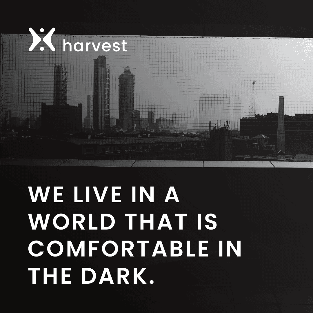 Accustomed to the Dark