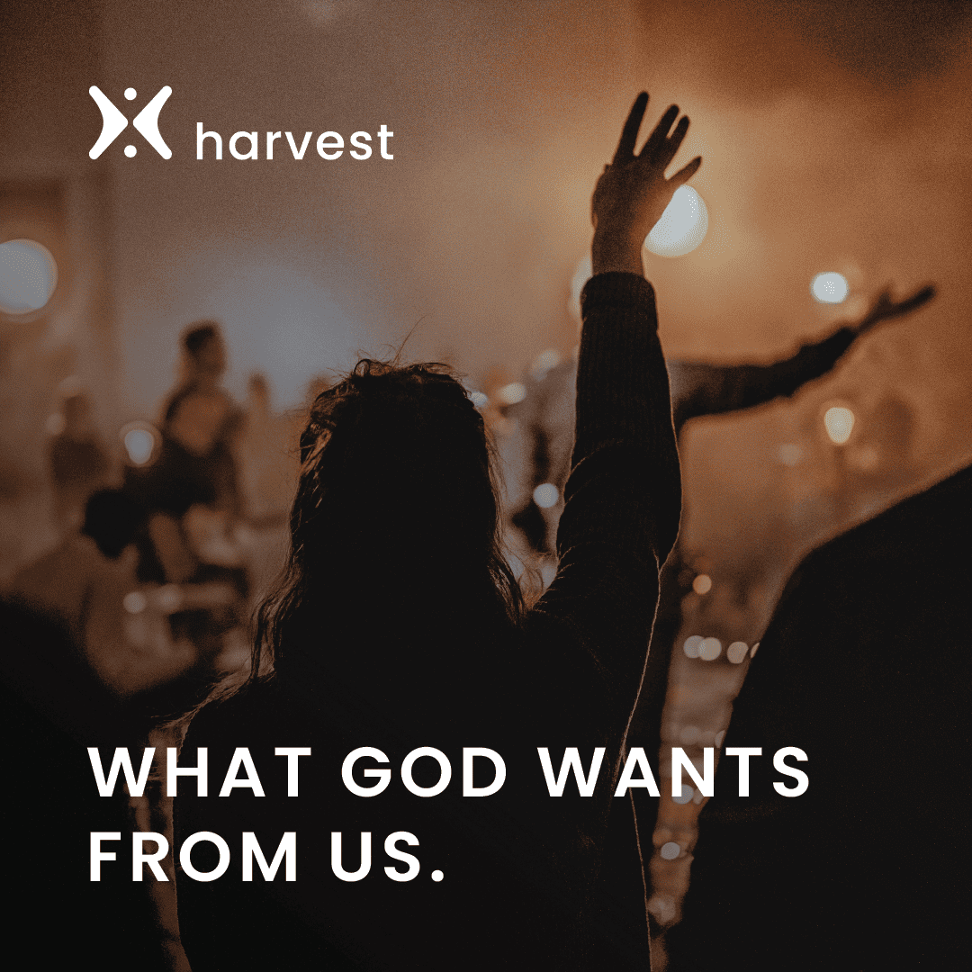 For the One Who Has Everything