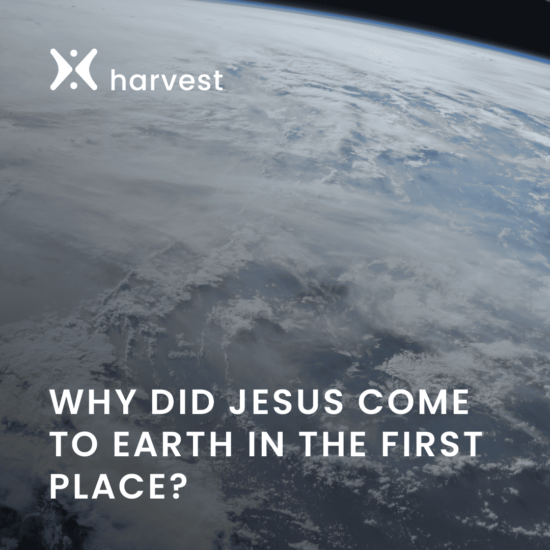 The Best Life There Is