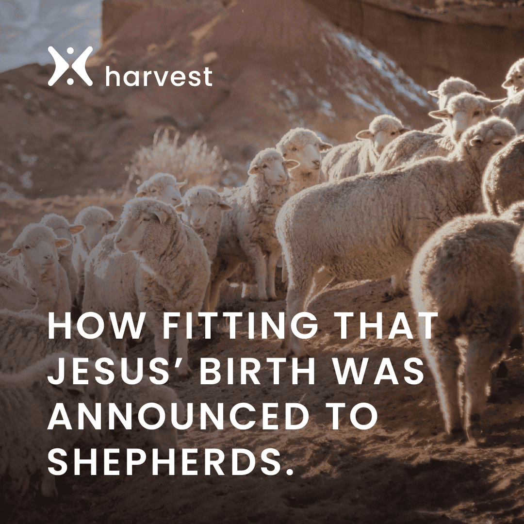 The Lowest of the Low