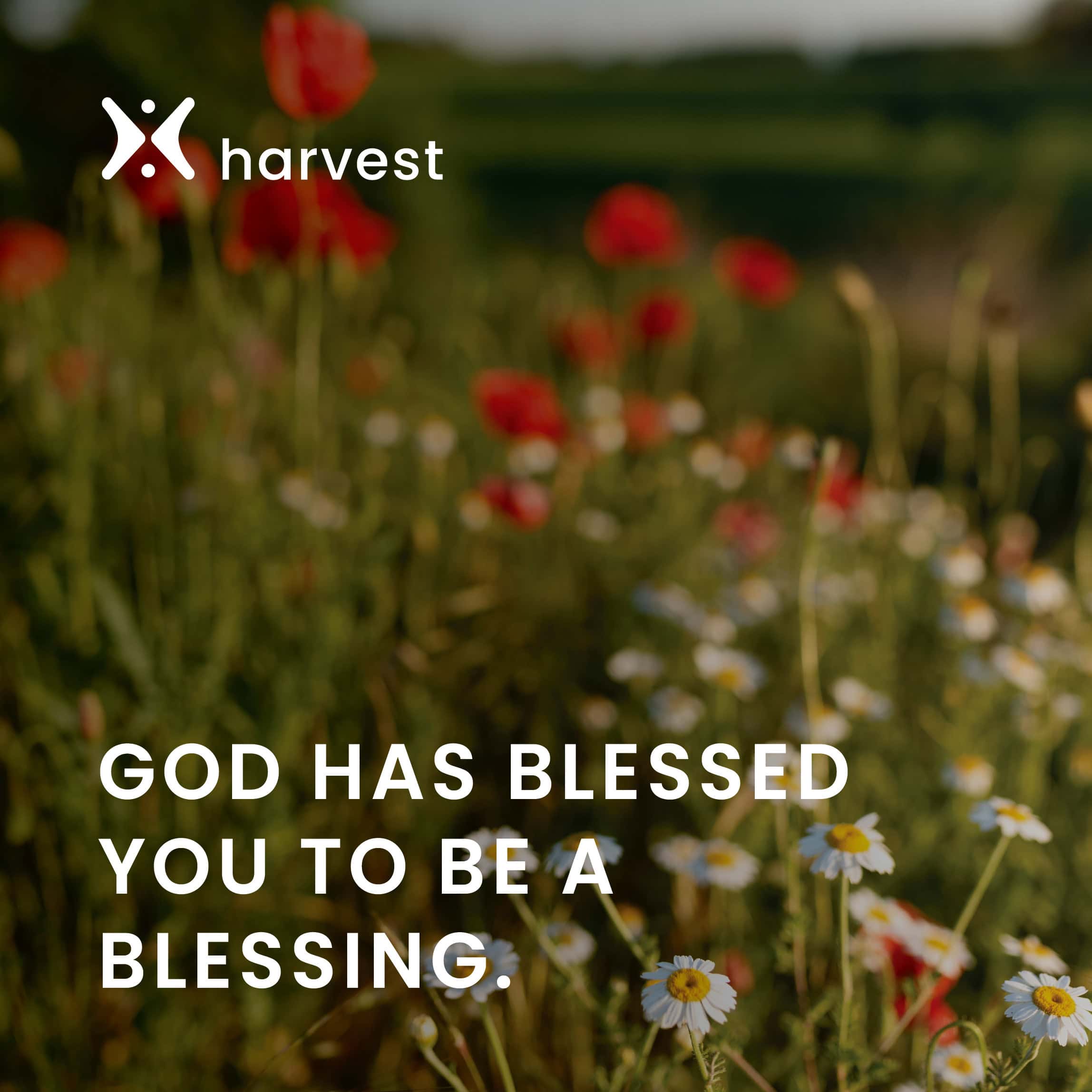 Every Effort Matters