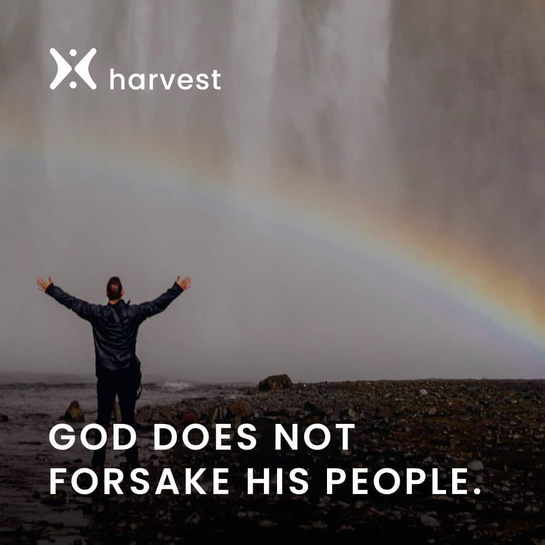 All the Grace We Need