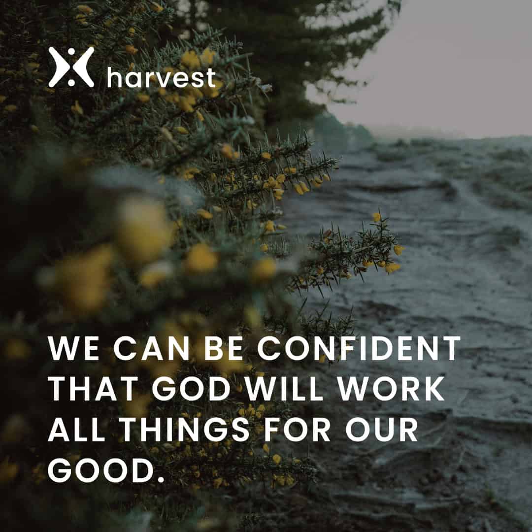 God Is Sovereign