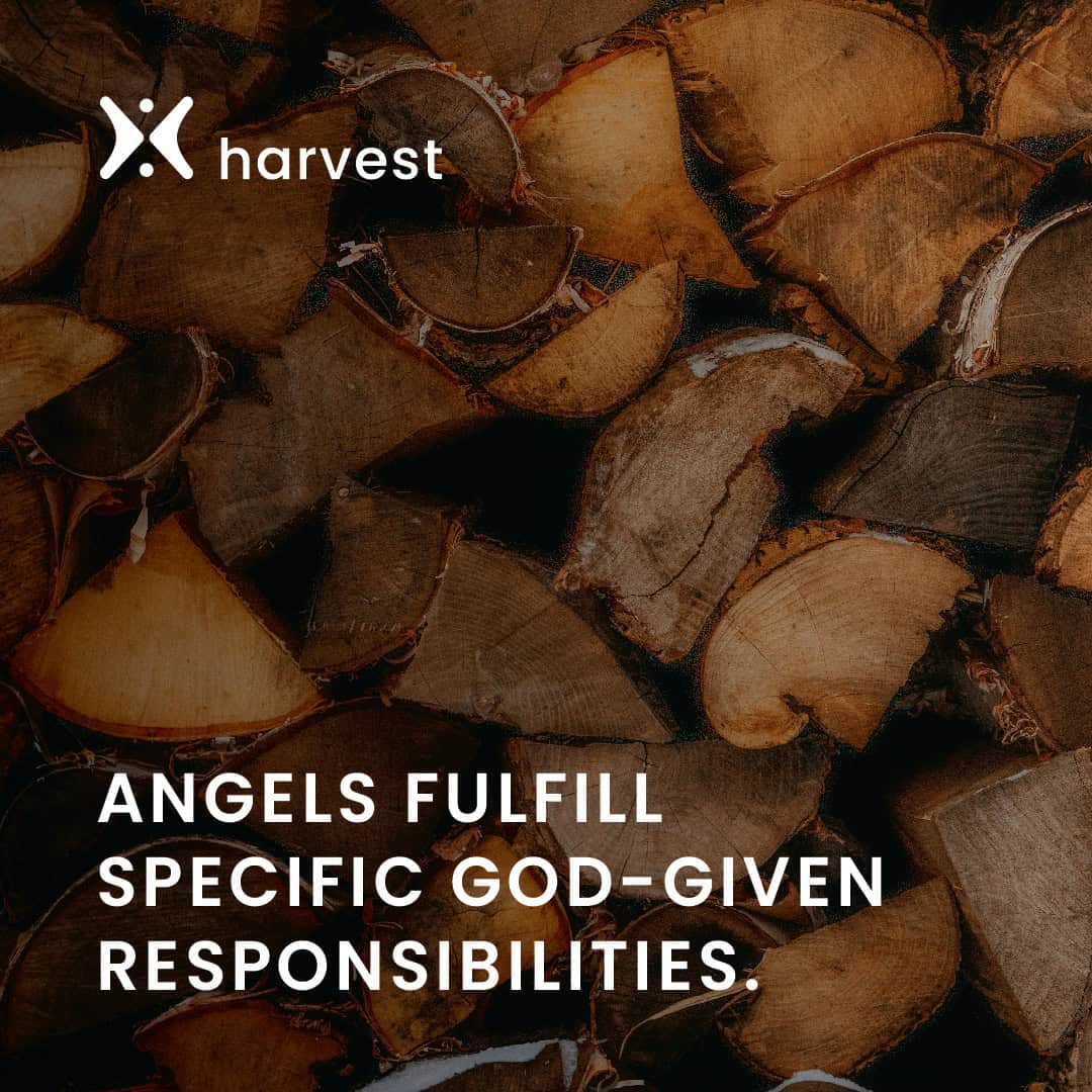 Understanding Angels