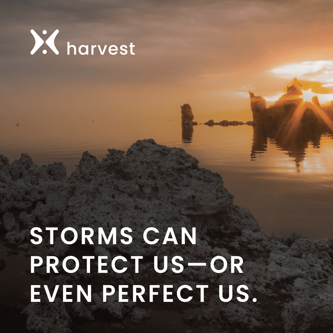 Seeing Past the Storm