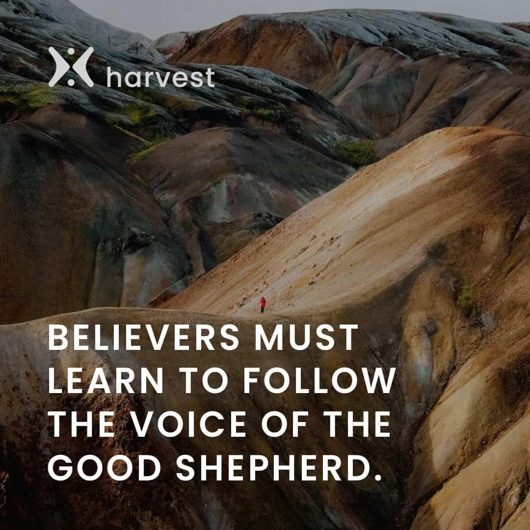 The Good Shepherd