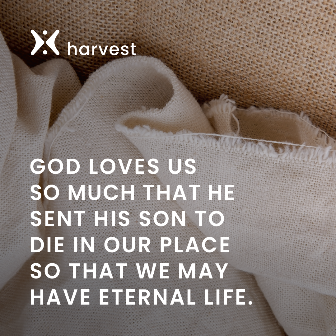 The Choice to Rejoice