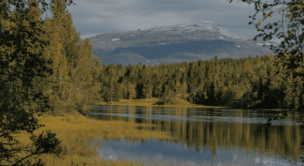 Watch New Episodes of "The Adventures of Ben Born Again & YellowDog”