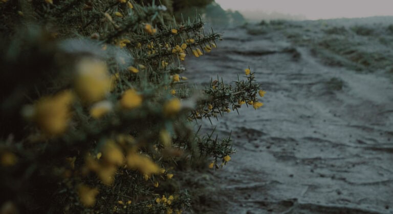 Daily Devotions - Pastor Greg Laurie